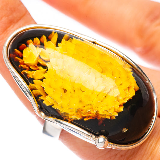 Baltic Amber 925 Sterling Silver Jewelry Collection – Ana Silver Co
